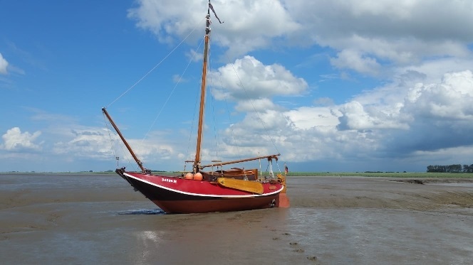 Hoogaars - Nige Oge | Te koop - Heech by de Mar