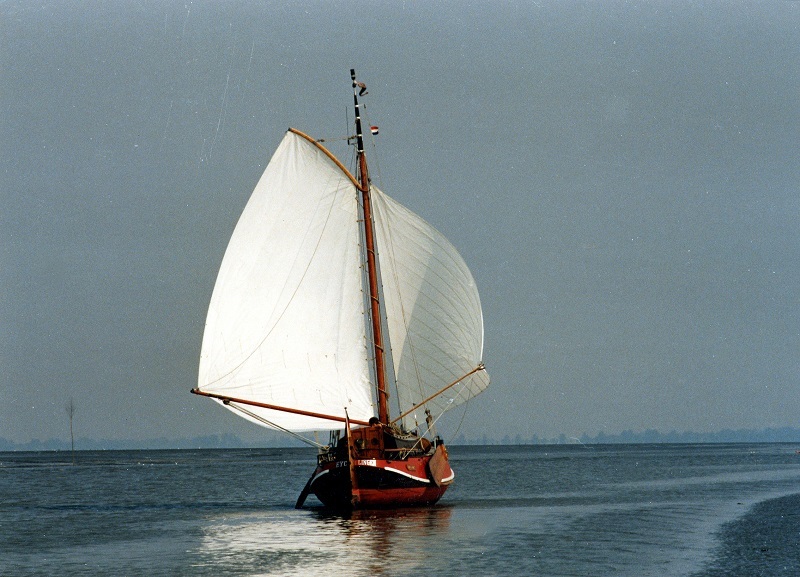 Hoogaars - Nige Oge | Te koop - Heech by de Mar